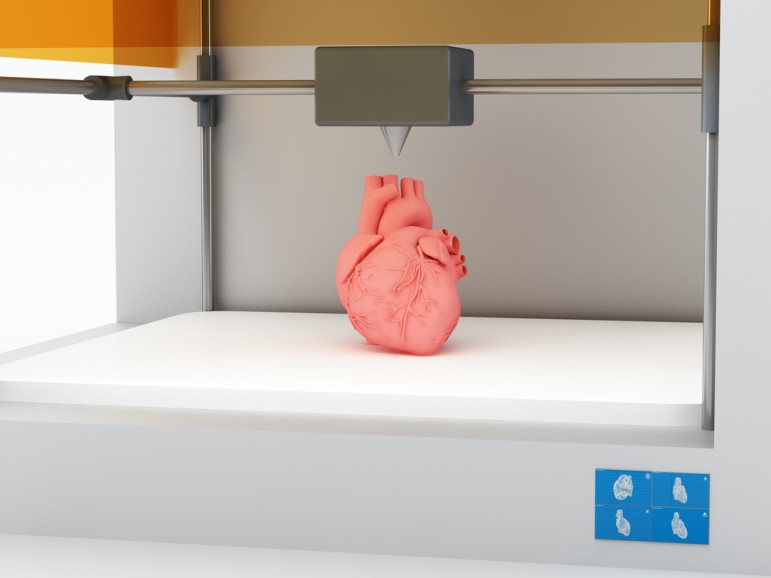 Top Five 3D Printed Products Brain Blogger